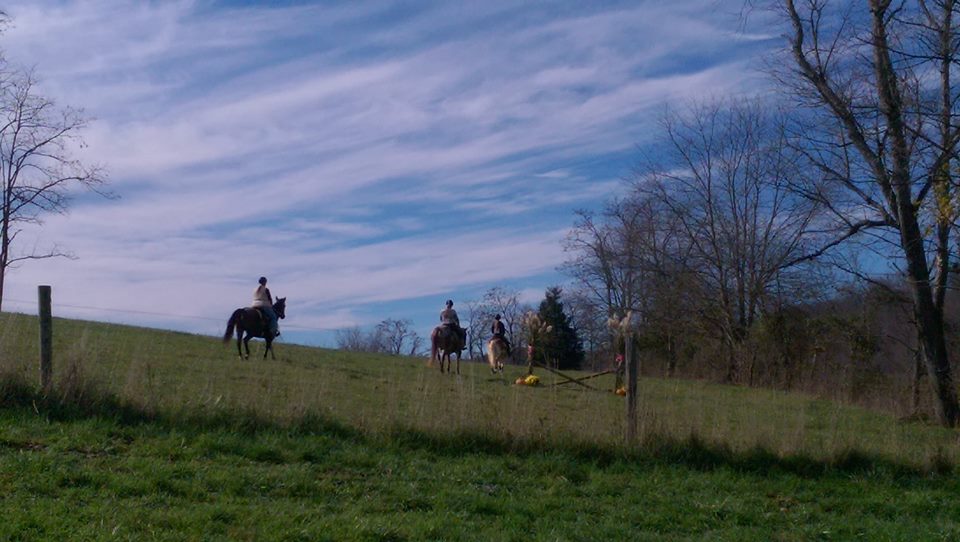 About – Blue Ridge Equine Society