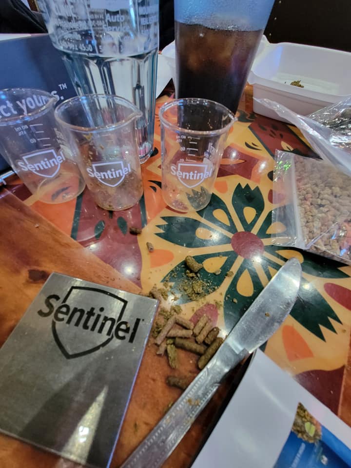 February 4, 2023 Social with the Regional Blue Seal/Sentinel Rep – Blue ...